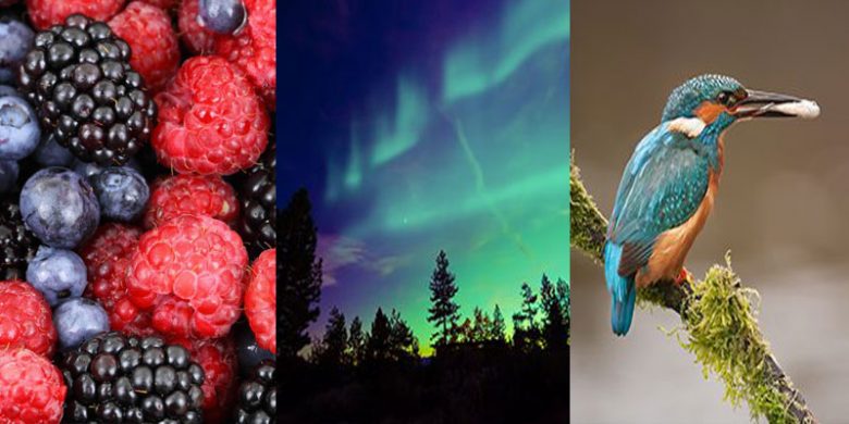 How to Combine Colors Like a Pro - Essential Tips on Design