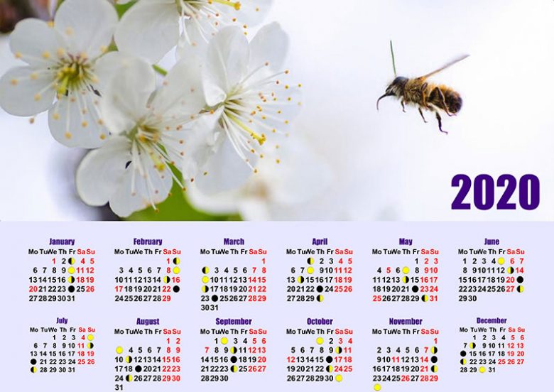 5 Personalized Photo Calendars | Calendar Examples 2020